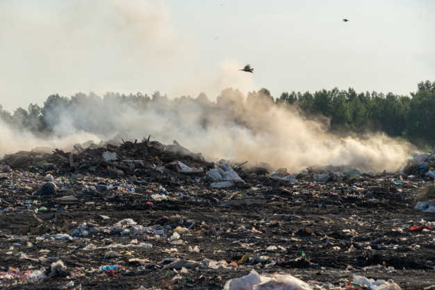 DT News - India - Casting a green future: Recycling the gypsum dental ...